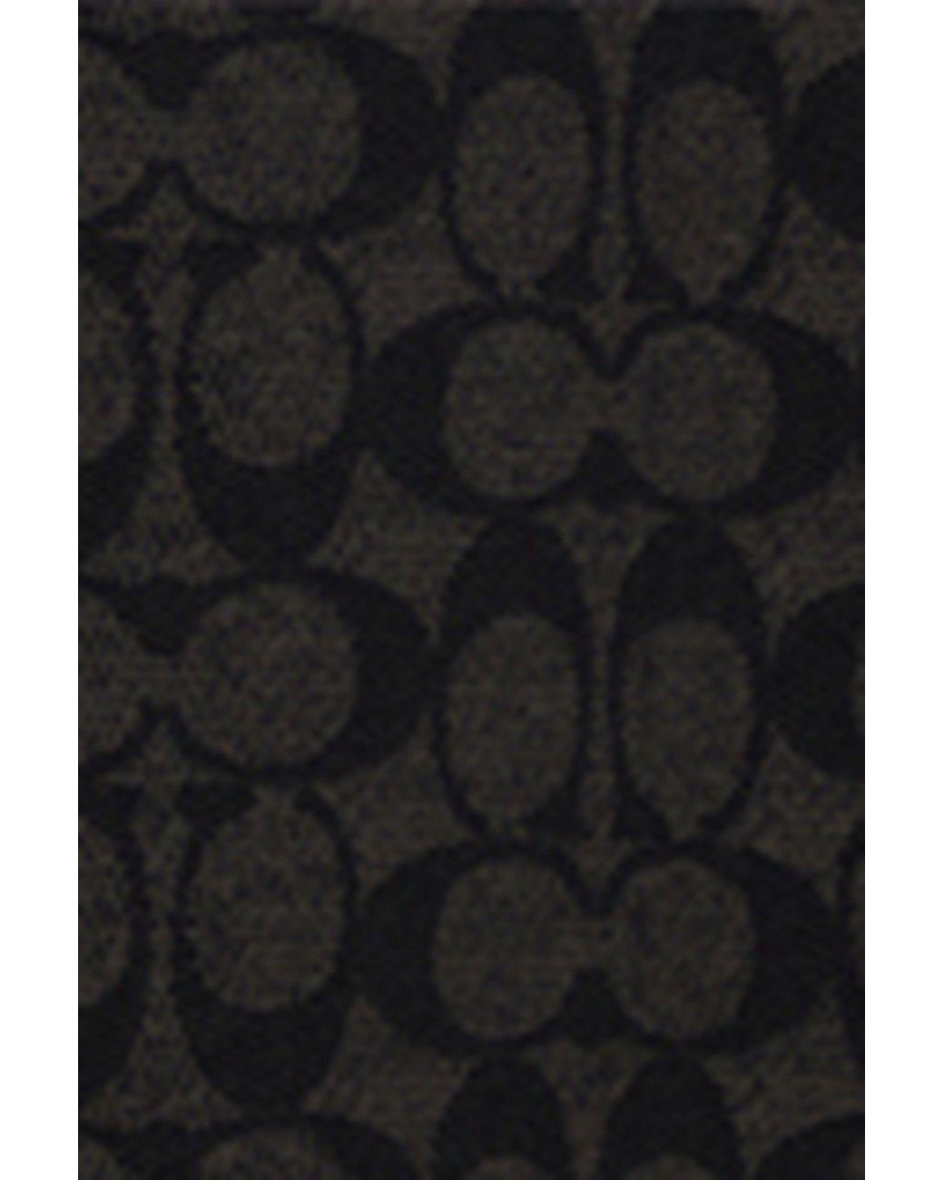 Black Coach Logo Background