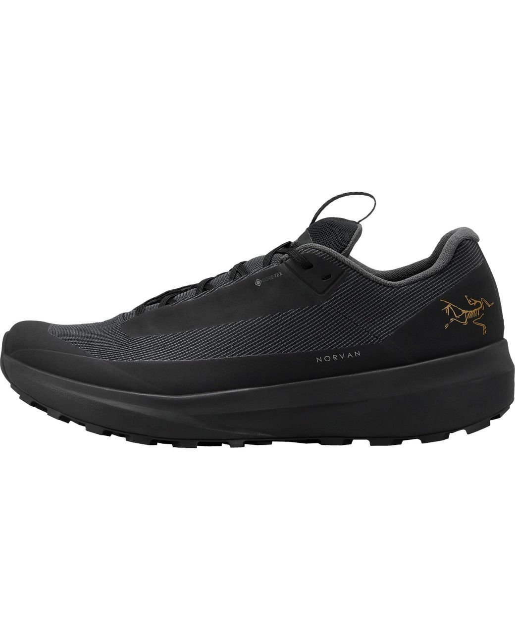 Arc'teryx Norvan Ld 4 Gtx Hiking Shoe in Black | Lyst