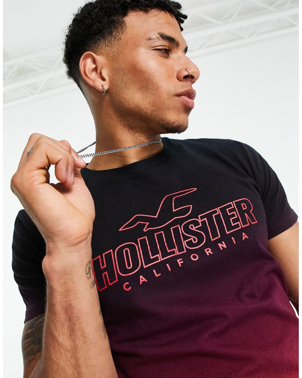Hollister Logo
