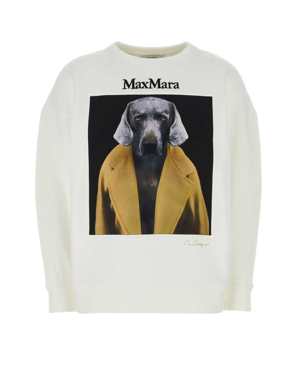 Max Mara Cotton Wegman Dog Sweatshirt in White | Lyst Australia