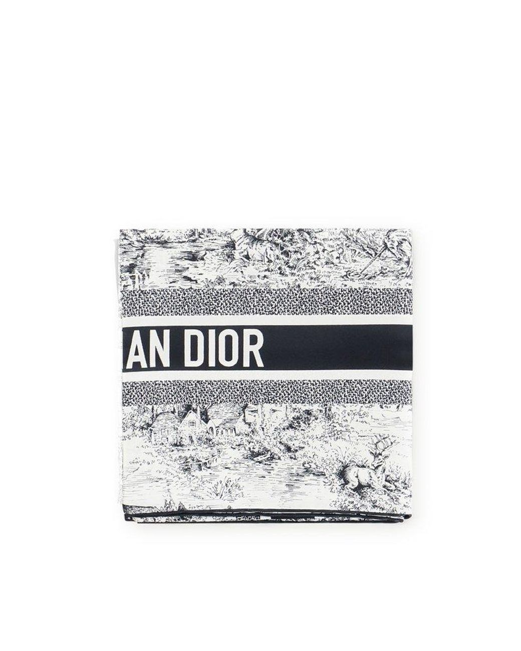 Dior Toile De Jouy Scotland Scarf in Gray | Lyst