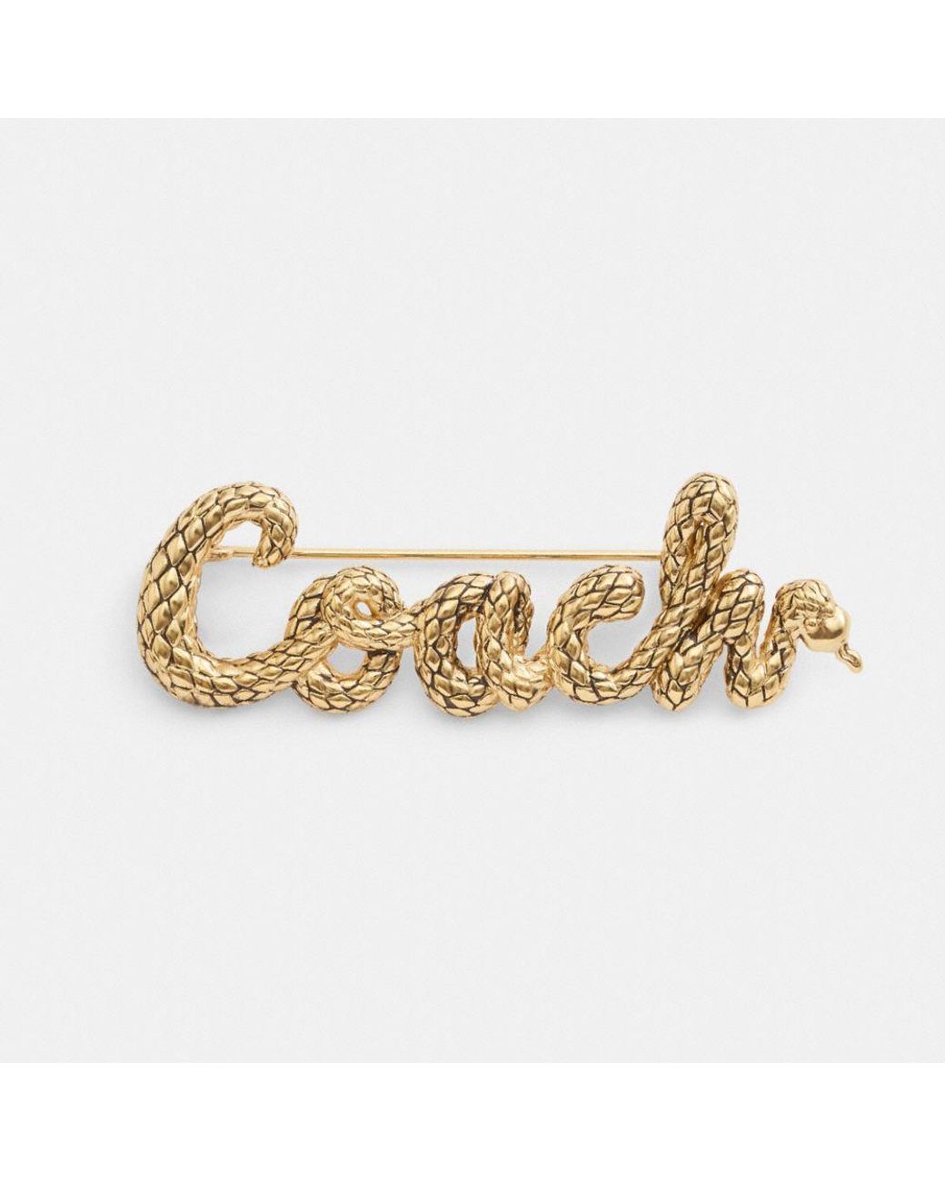 COACH New Year Snake Script Brooch in Metallic | Lyst