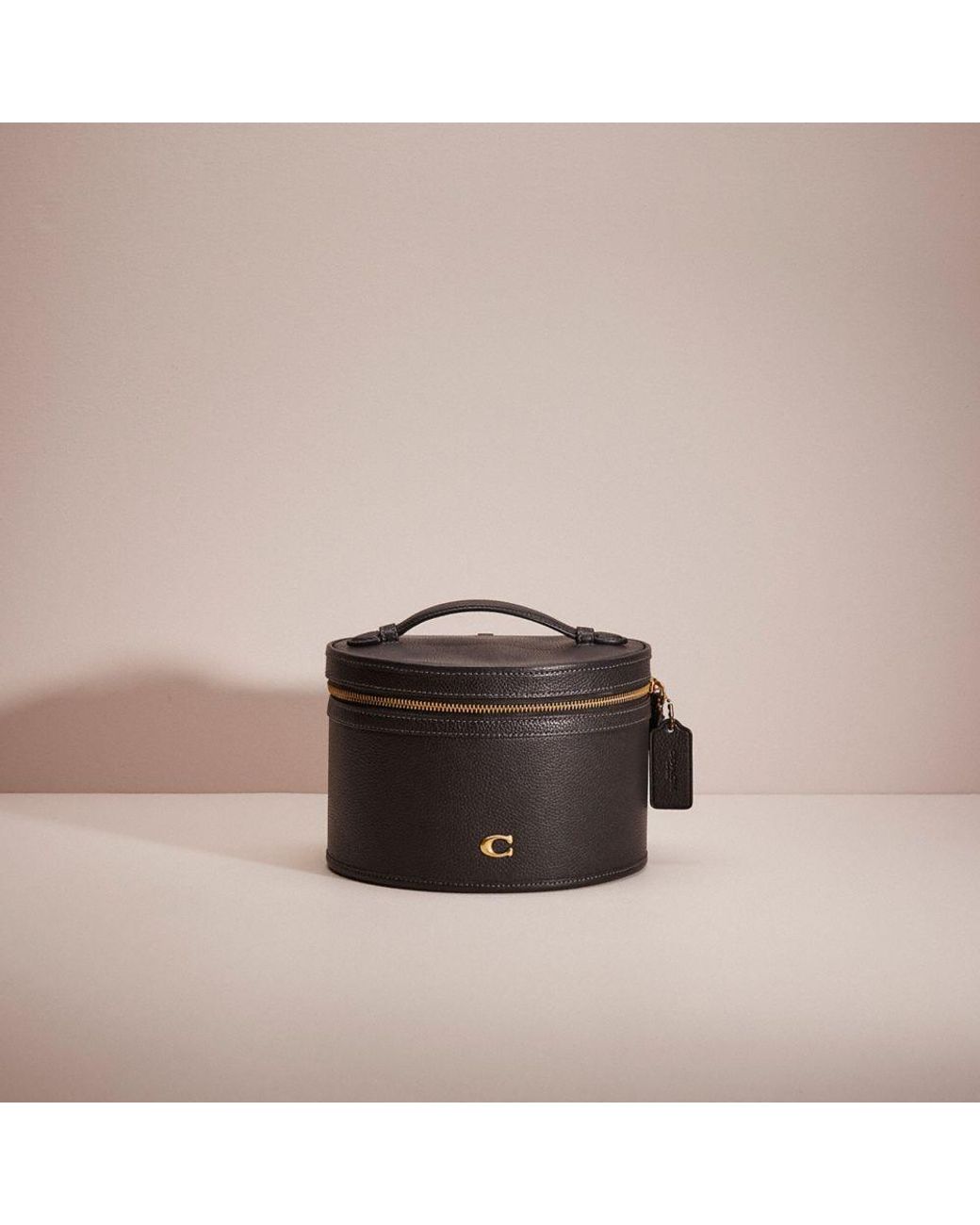 COACH Restored Essential Vanity Case in Brown | Lyst