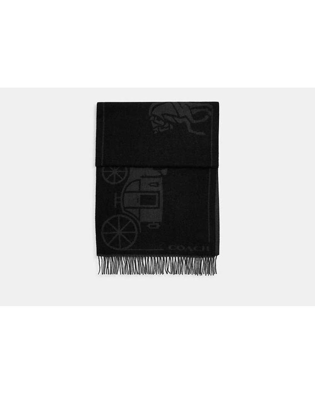 COACH Horse And Carriage Print Oversized Muffler in Black | Lyst
