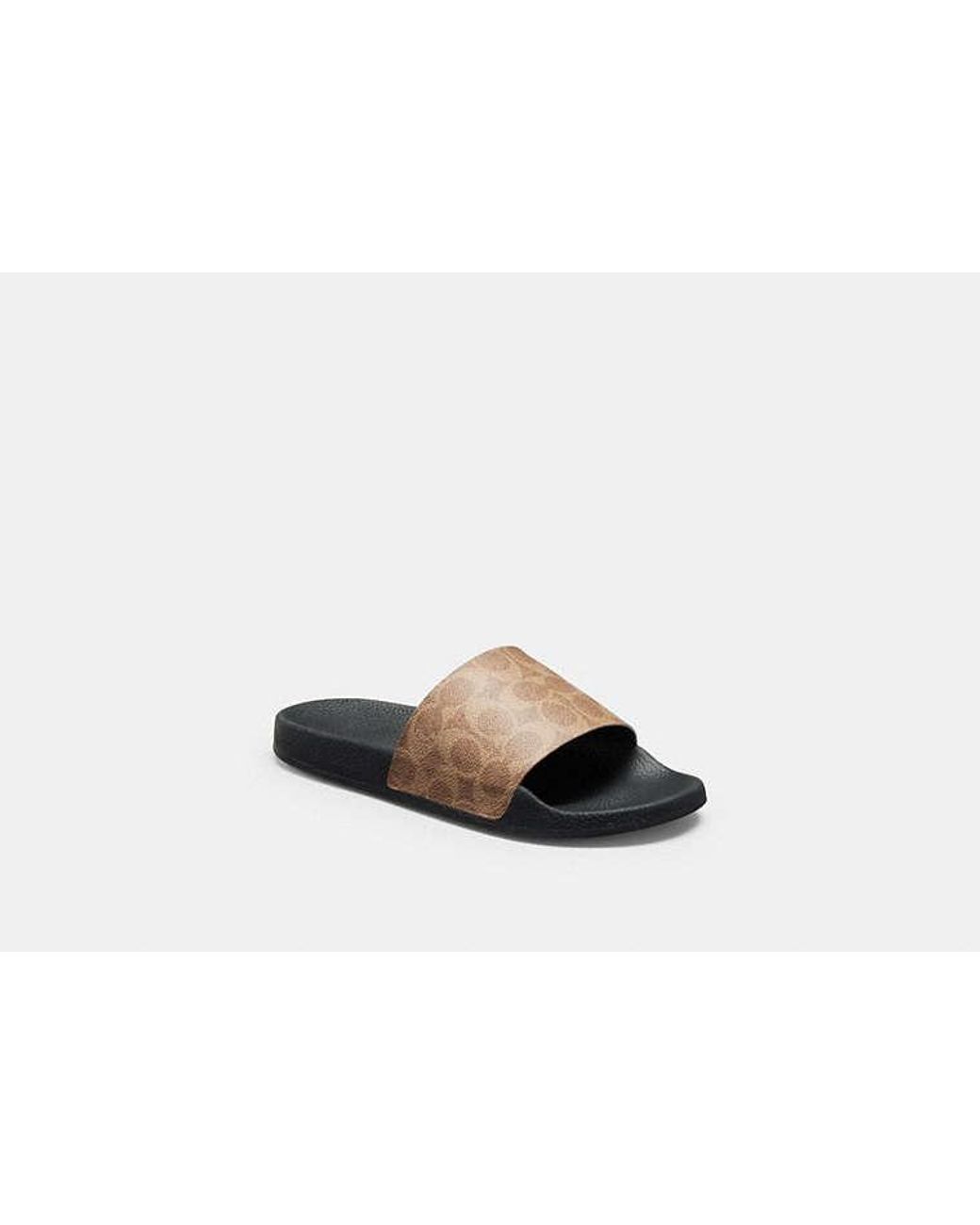 COACH Udele Sport Slide In Signature Canvas in Black | Lyst