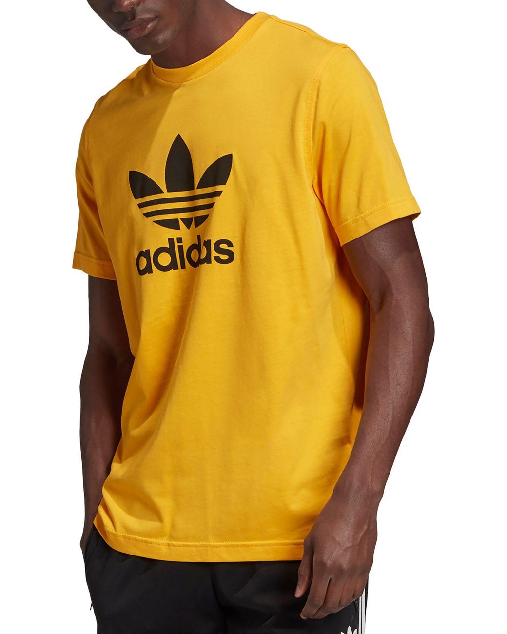 adidas Rubber Originals Trefoil Graphic T-shirt in Yellow for Men - Lyst