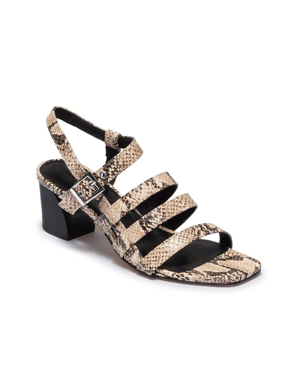 Bernardo Novi Sandal in Black | Lyst