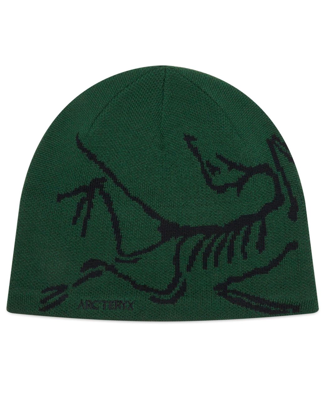 Arc'teryx Bird Head Toque in Green for Men | Lyst