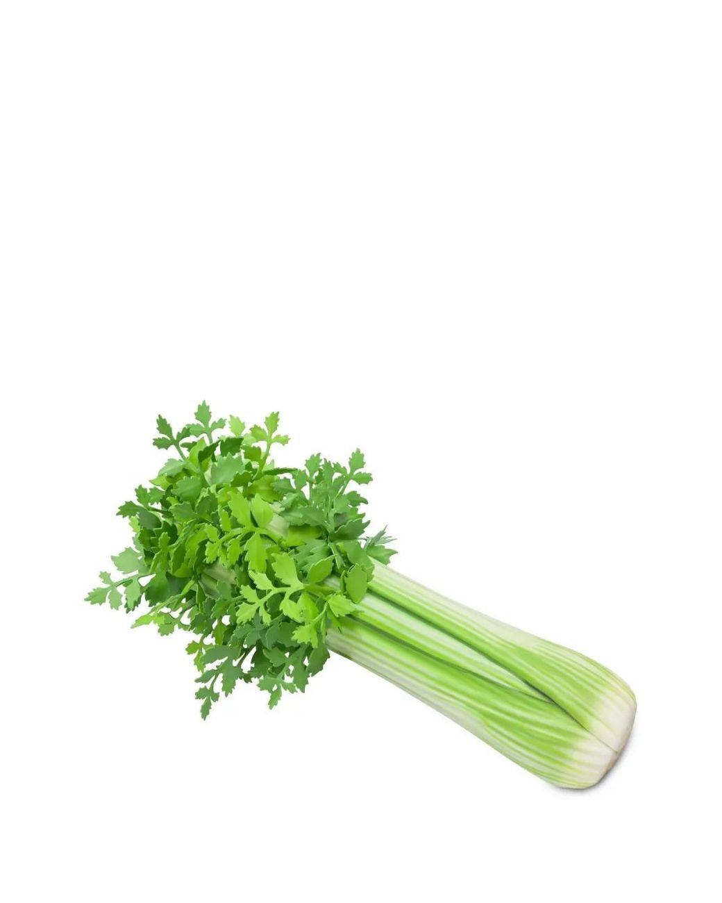 Moschino Celery-Shaped Faux-Leather Clutch Bag in Green | Lyst