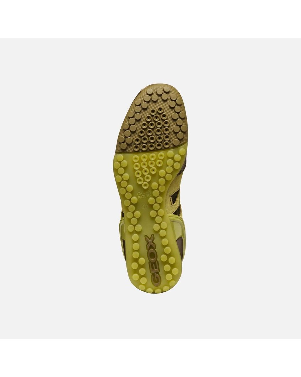 Geox Archive Snake in Green | Lyst UK