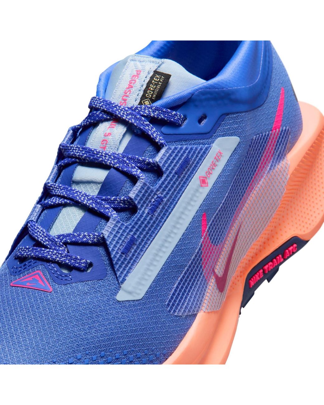 Nike Pegasus Trail 5 Gore-Tex Running Shoes in Blue | Lyst UK