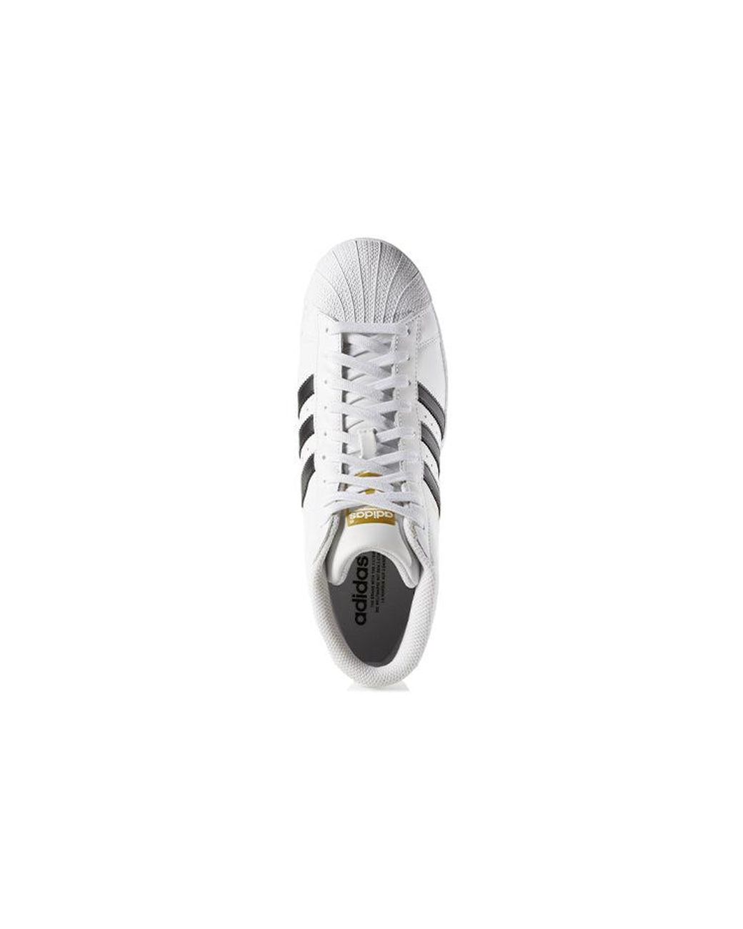 adidas Pro Model Core' in White for Men | Lyst
