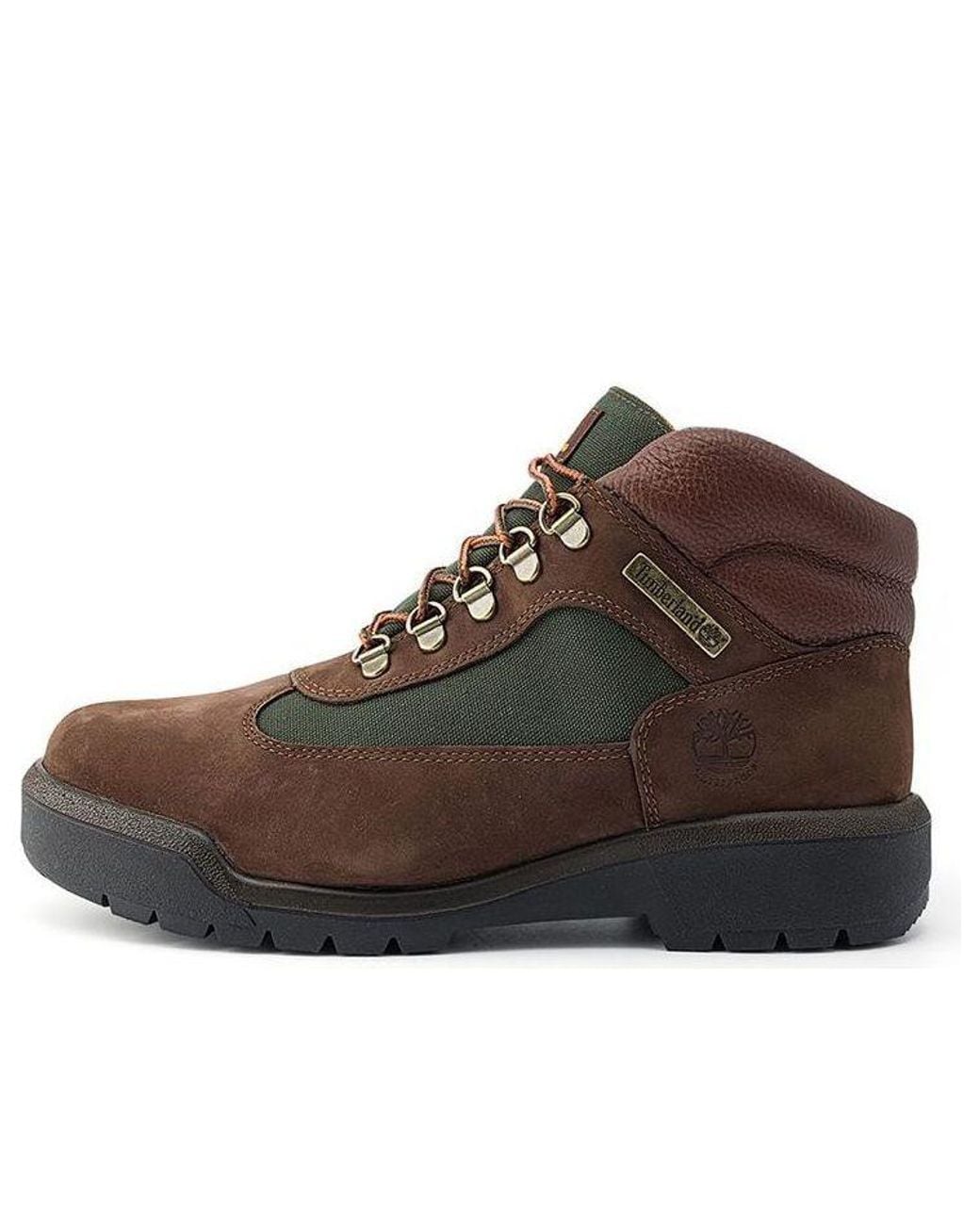 Timberland Field Boot F/L Waterproof in Brown for Men | Lyst