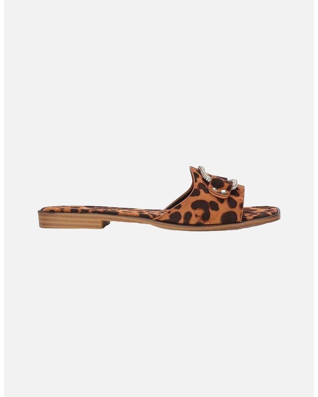 XY London Ladies Annie Leopard Print Diamante Flat Sliders in Brown ...