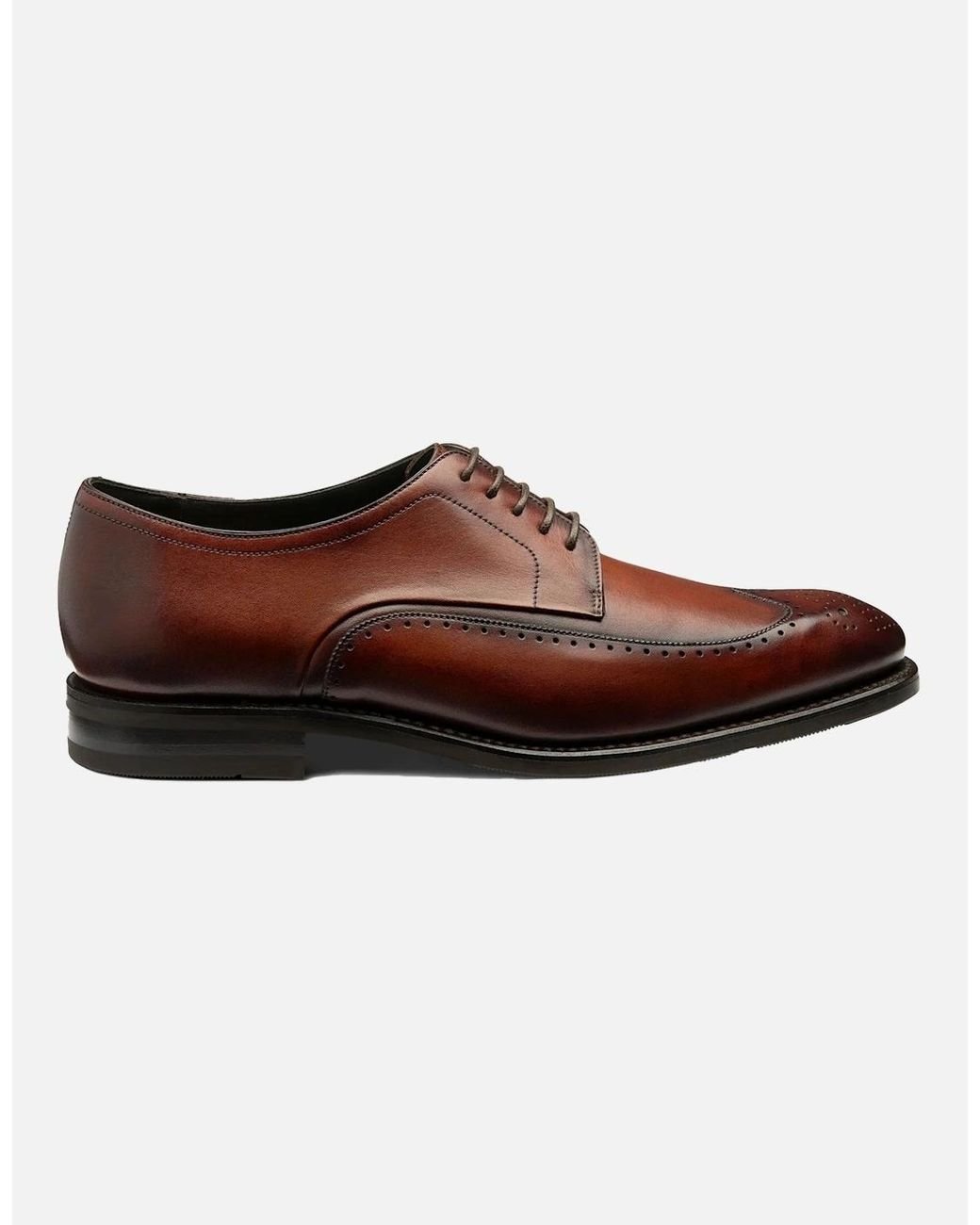 Loake Bale Derby Punched Brogue Scotch Patina in Brown for Men | Lyst UK