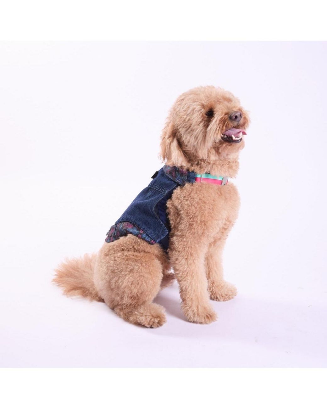 Trina Turk Denim Jacket & Harness Set in Blue | Lyst