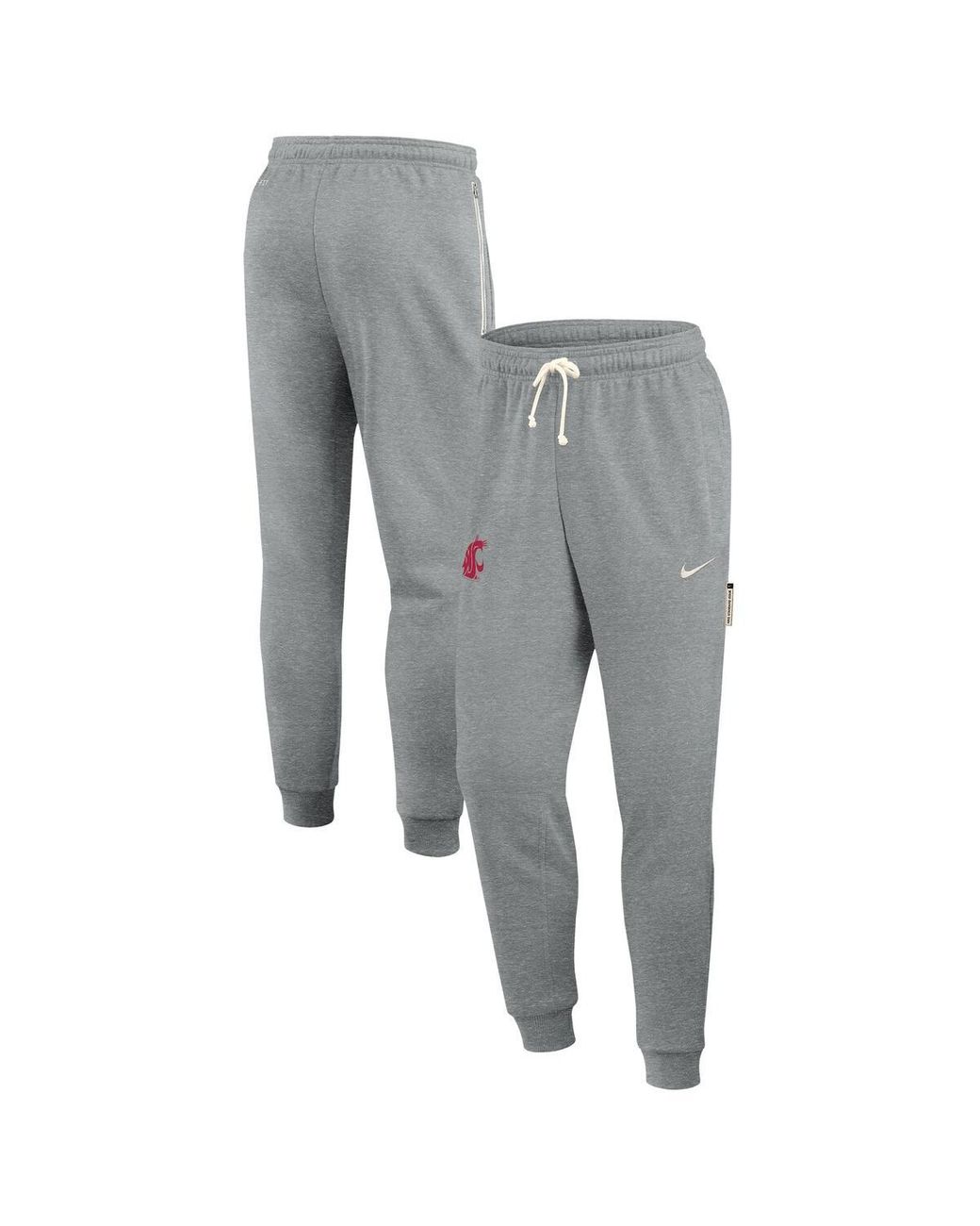 Nike Minnesota Golden Gophers 2025 Sideline Standard Issue Dri-fit ...