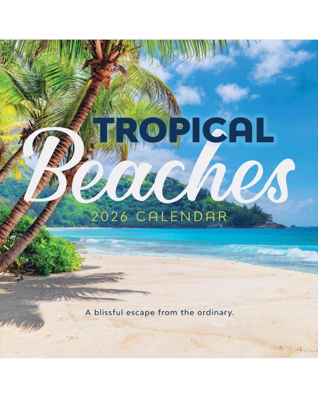 Tf Publishing Paper Goods 2026 Tropical Beaches Wall Calendar in Blue ...
