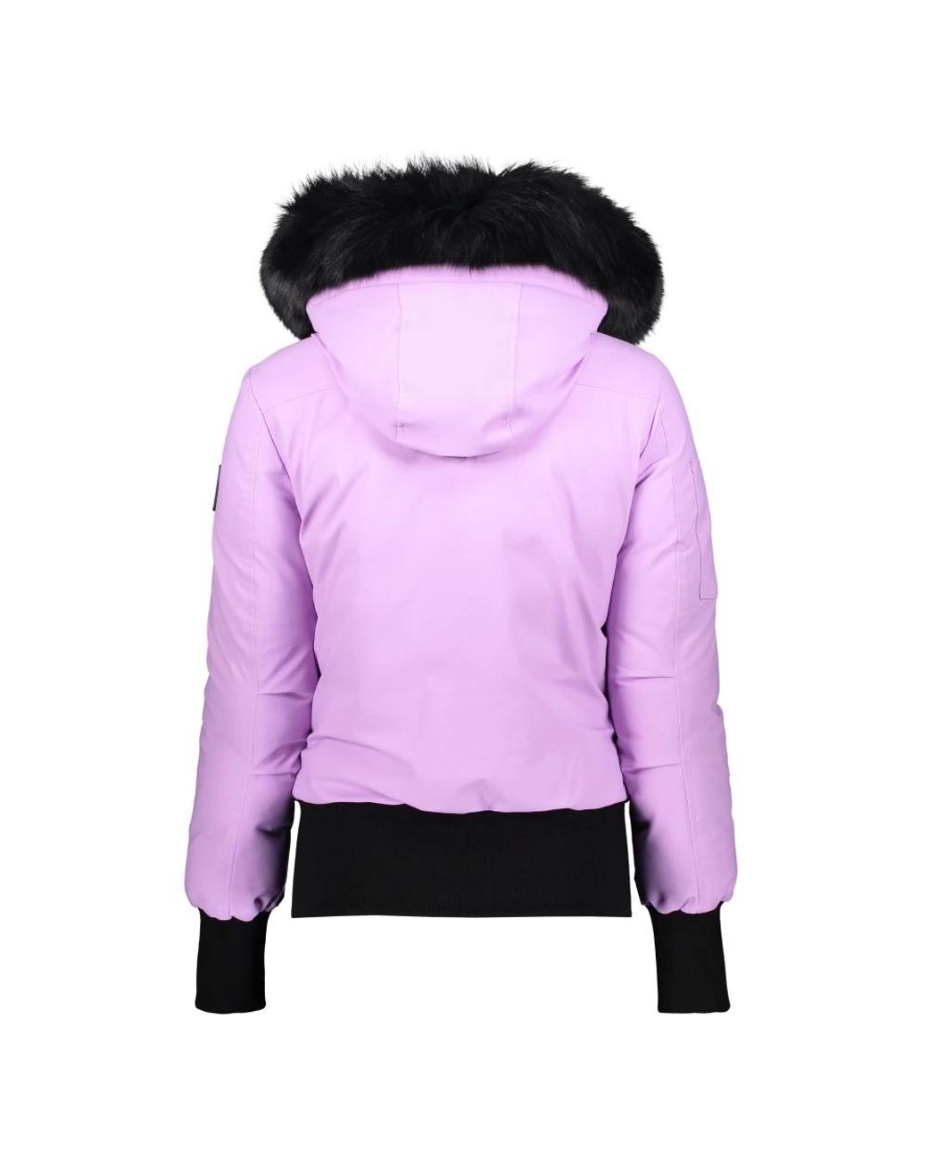 Moose Knuckles Winter Jackets in Purple | Lyst