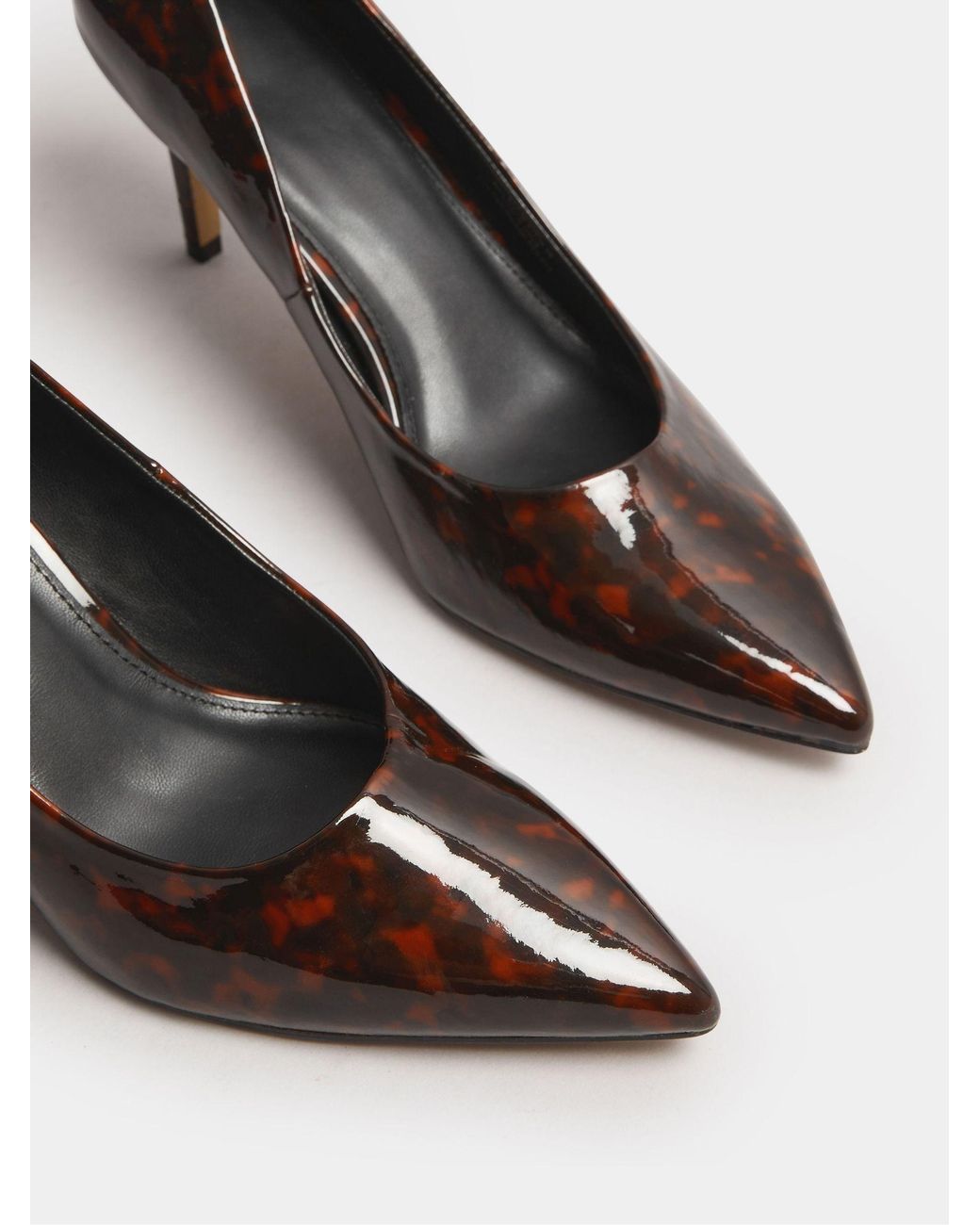 Long Tall Sally Tortoise Shell Point Court Shoes in Black | Lyst