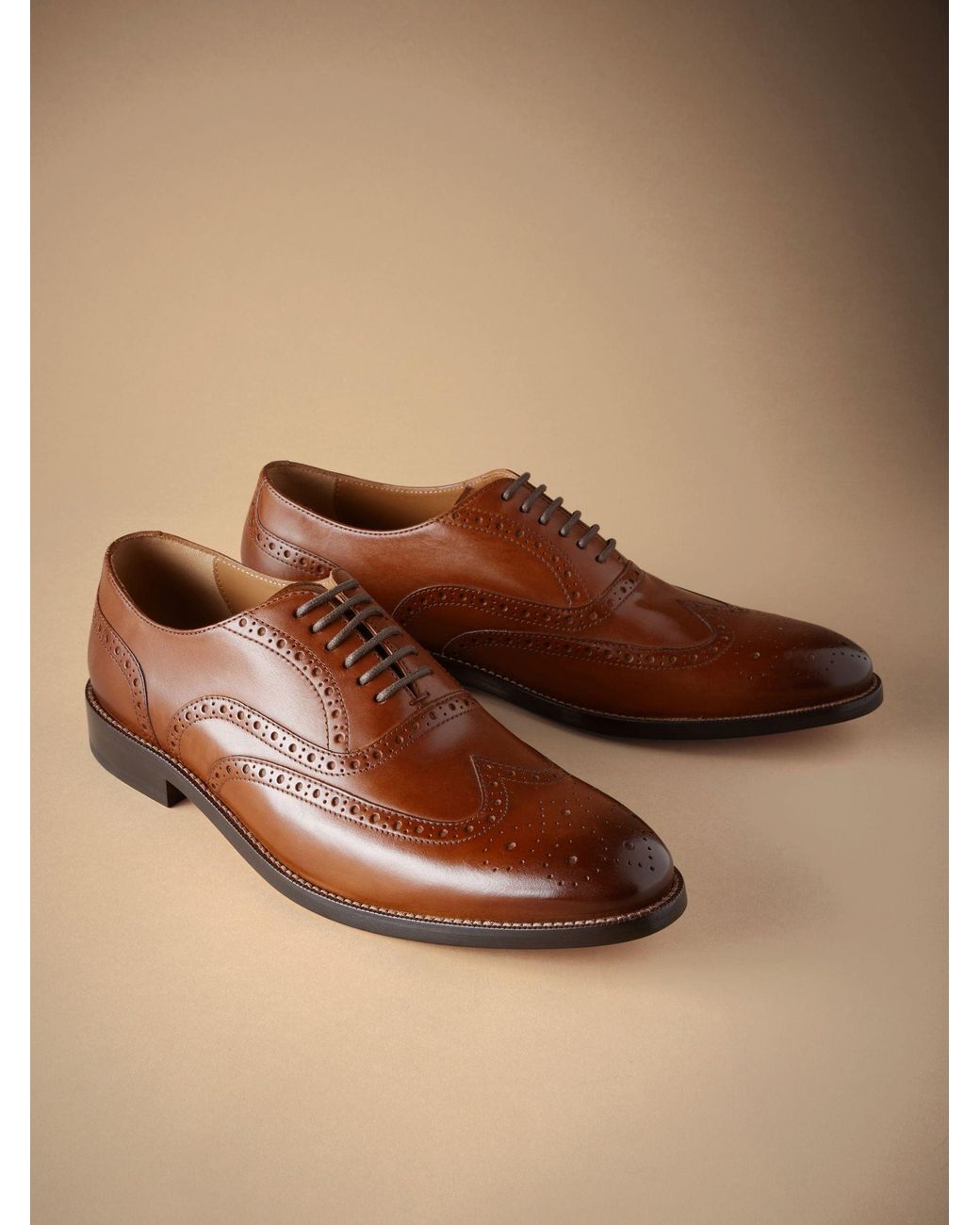 Next Wide Fit Signature Italian Leather Wingcap Brogue Shoes in Brown ...