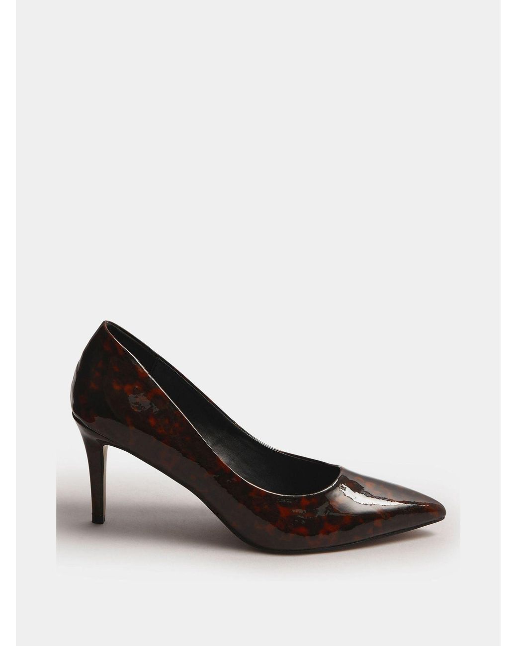 Long Tall Sally Tortoise Shell Point Court Shoes in Black | Lyst