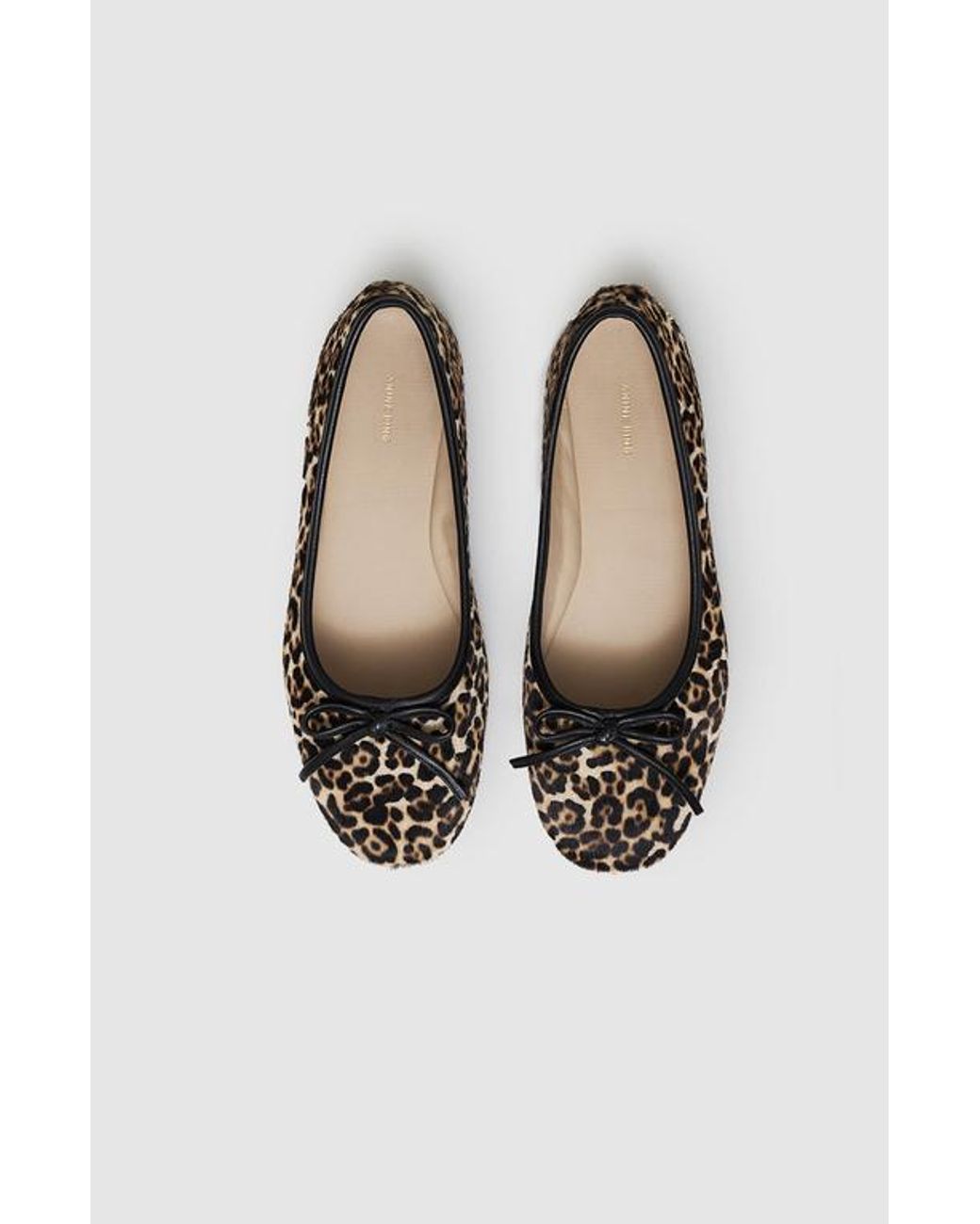 Anine Bing Jamie Ballerina Flats | Lyst