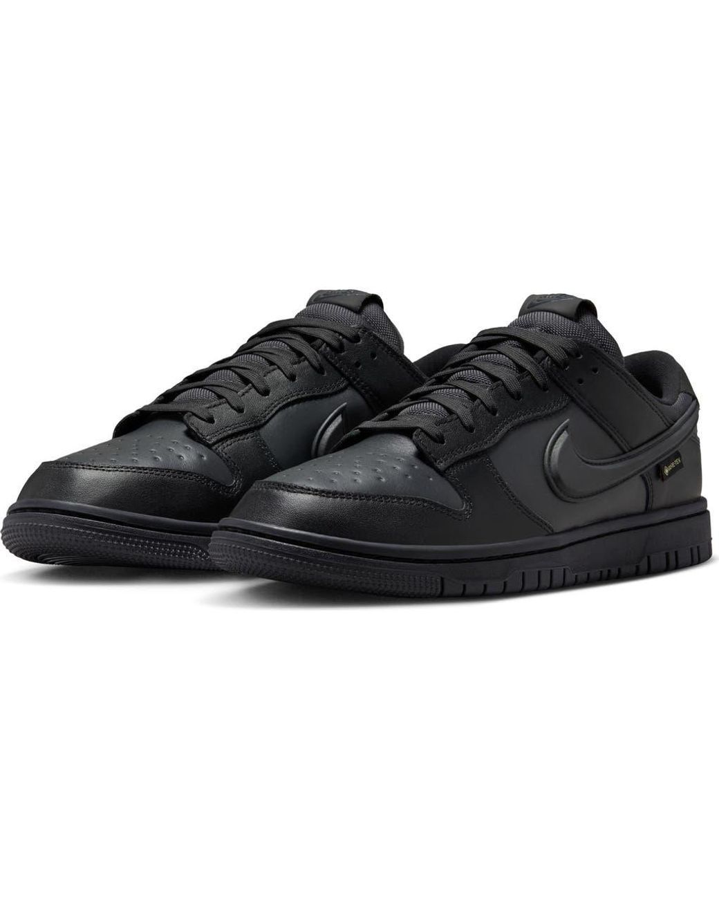 Nike Dunk Low Gore-Tex Waterproof Basketball Sneaker in Black for Men ...