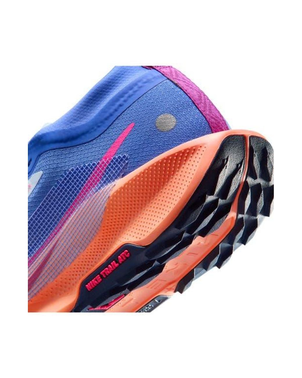 Nike Pegasus Trail 5 Gore-Tex Waterproof Running Shoe in Blue | Lyst
