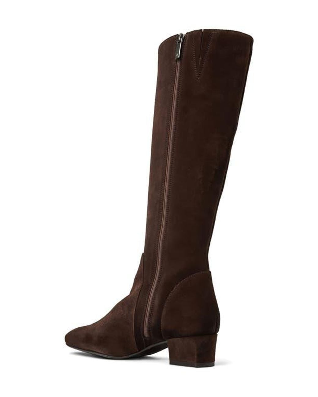 Aquatalia Serafina Weatherproof Knee High Boot in Brown | Lyst