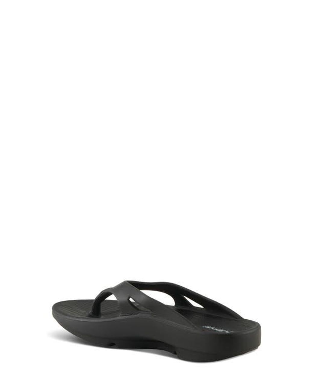 Flexus by Spring Step Osmar Flip Flop in Black | Lyst