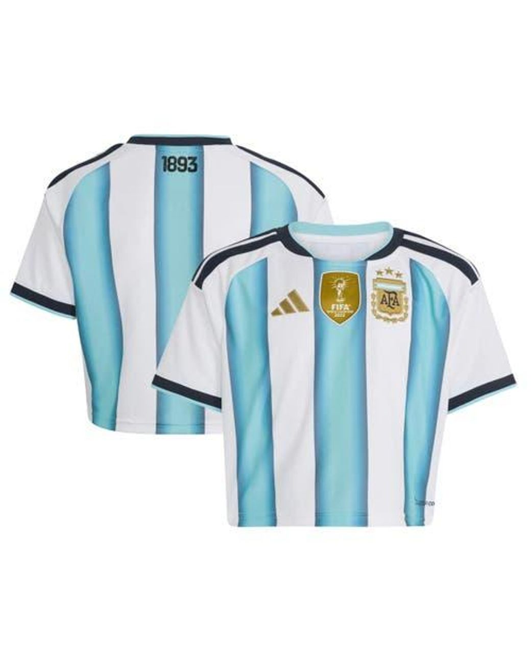 adidas Argentina National Team Fifa X World Cup 2022 Winners Home ...