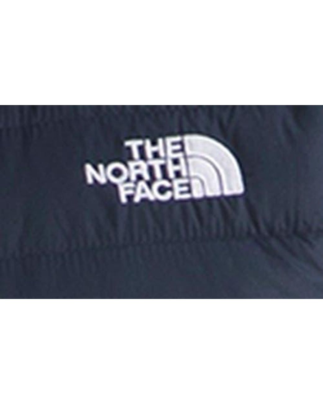 The North Face Classic 700 Fill Power Down Hooded Jacket in Blue for ...