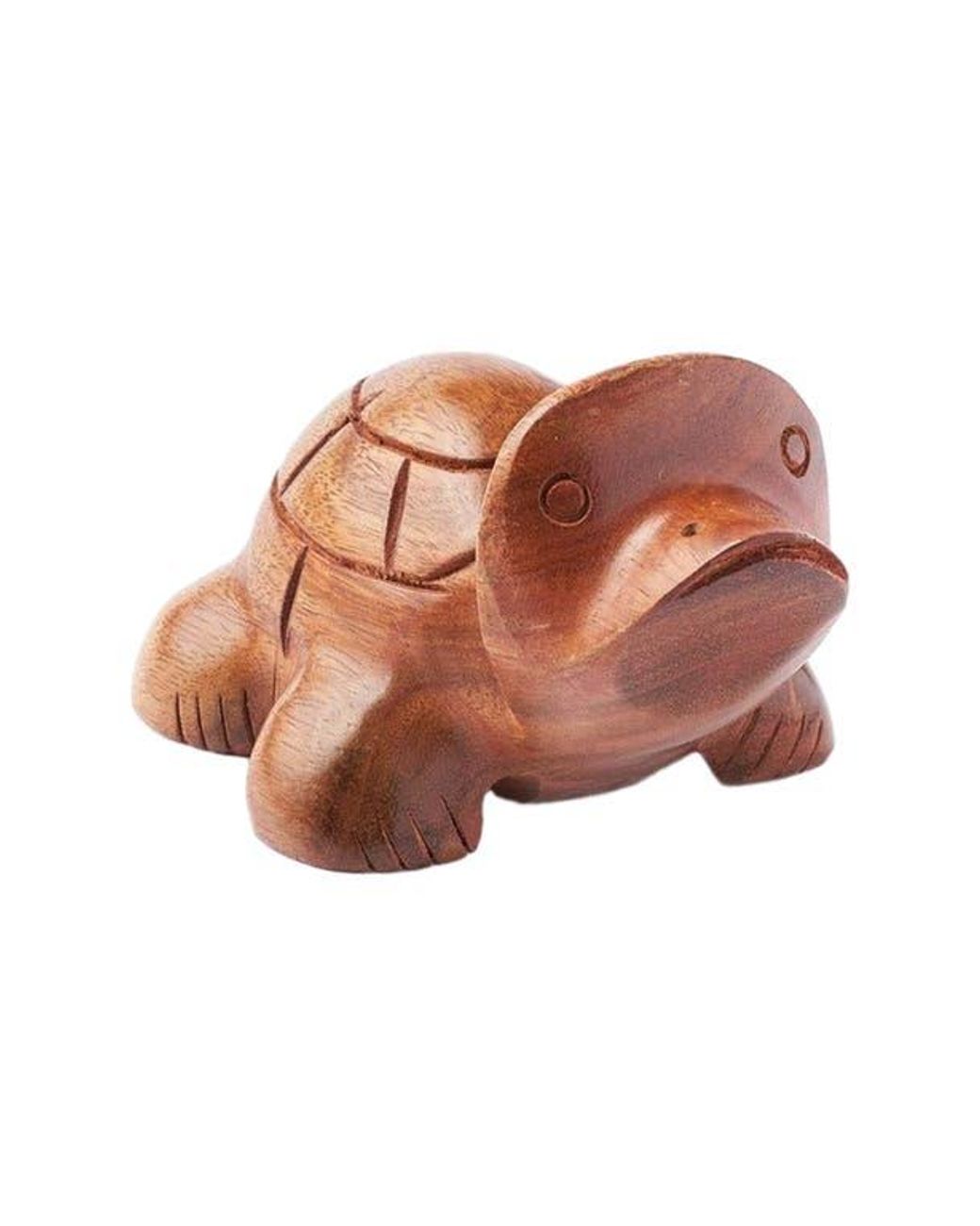 Matr Boomie Turtle Eyeglasses Holder/Stand in Brown | Lyst