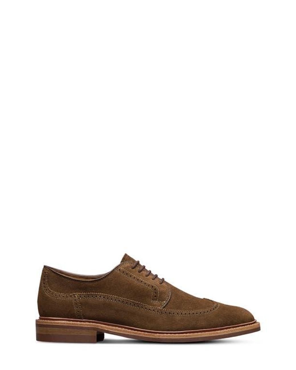 Allen Edmonds Winston Wingtip Brogue Derby in Brown for Men | Lyst