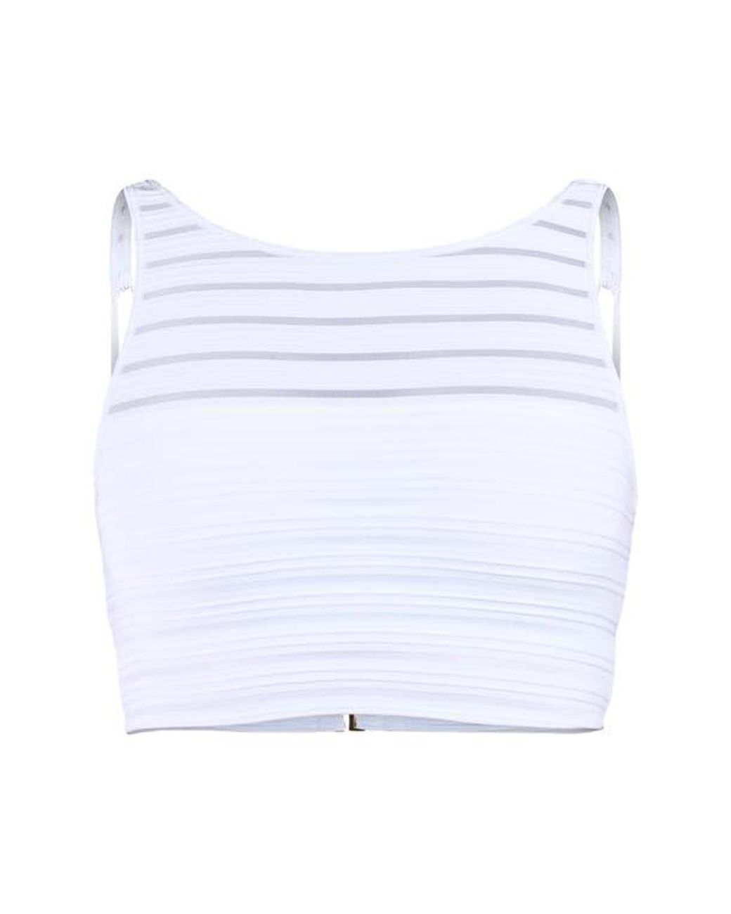 La Blanca Fluid Lines