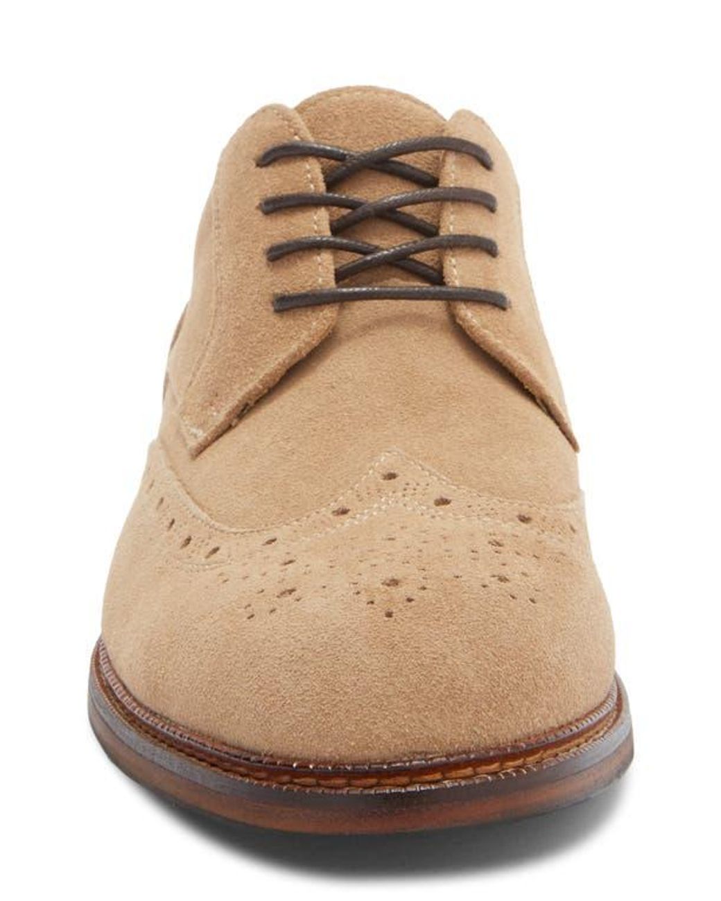 Steve Madden Eferm Wingtip Derby in Brown for Men | Lyst