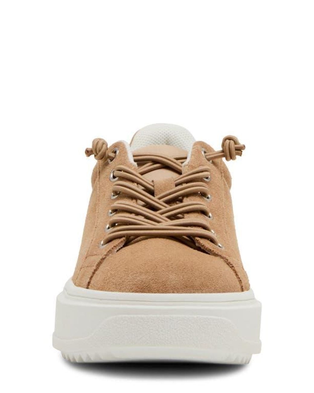 Blondo Goose Waterproof Sneaker in Brown | Lyst