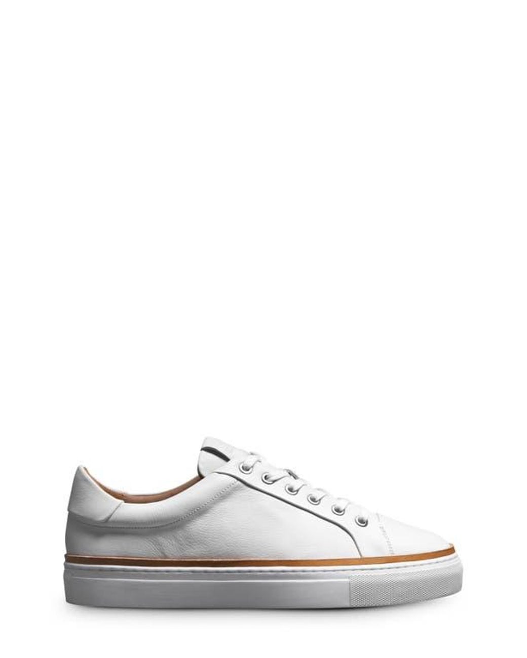Allen Edmonds Flynn Leather Sneaker in White for Men | Lyst