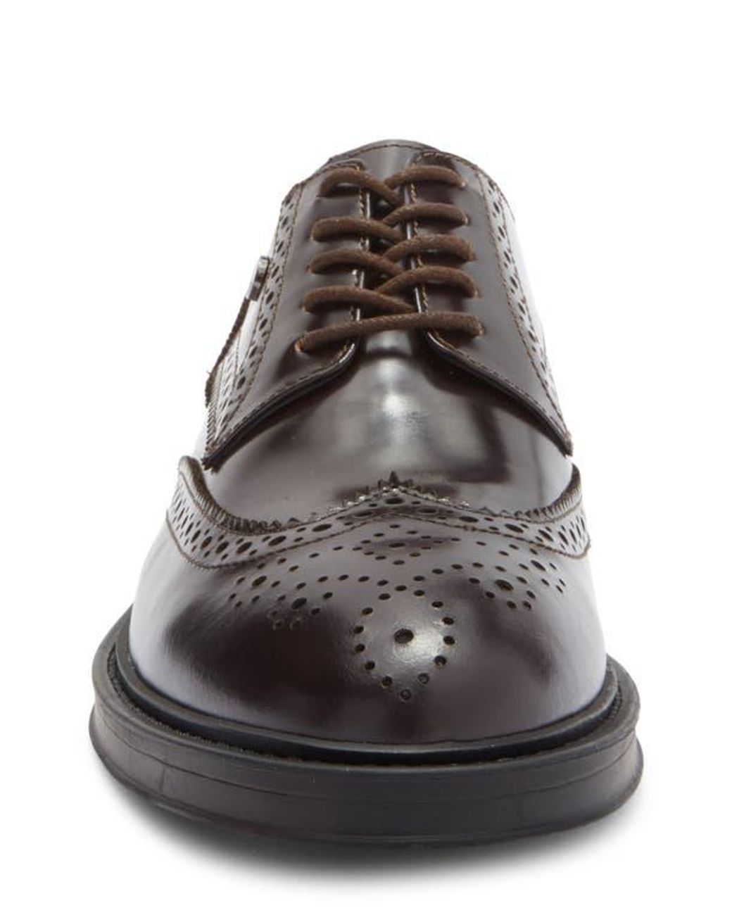 Roberto Cavalli Crip Wingtip Derby in Brown for Men | Lyst