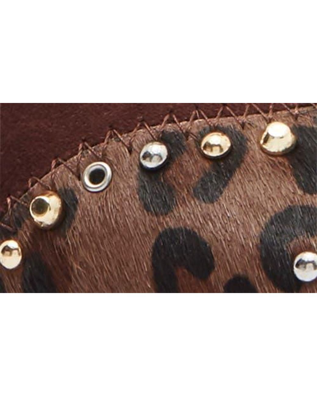 Steve Madden Elizza Pointed Toe Mule in Brown | Lyst