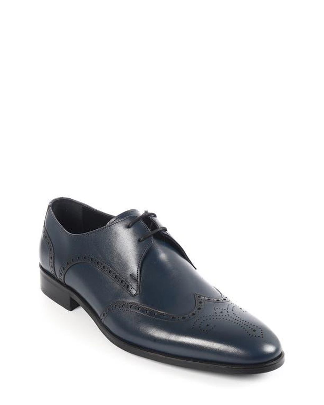 VELLAPAIS Pelican Wingtip Derby in Blue for Men | Lyst