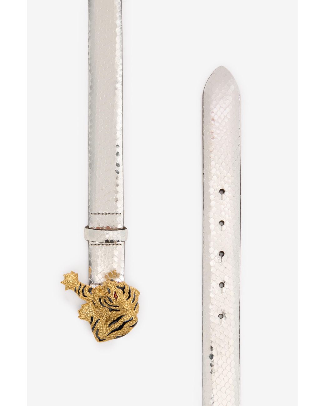 Roberto Cavalli Roar Belt | Lyst