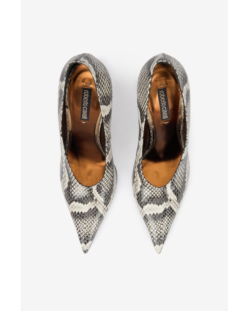 Roberto Cavalli Pumps With Python Print | Lyst