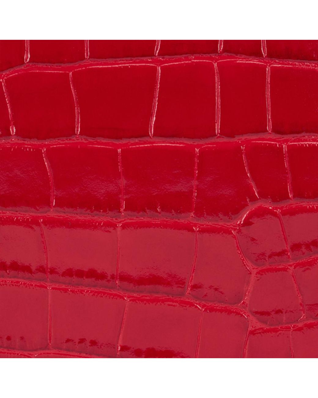 Roberto Cavalli Roar Leather Pouch in Red | Lyst