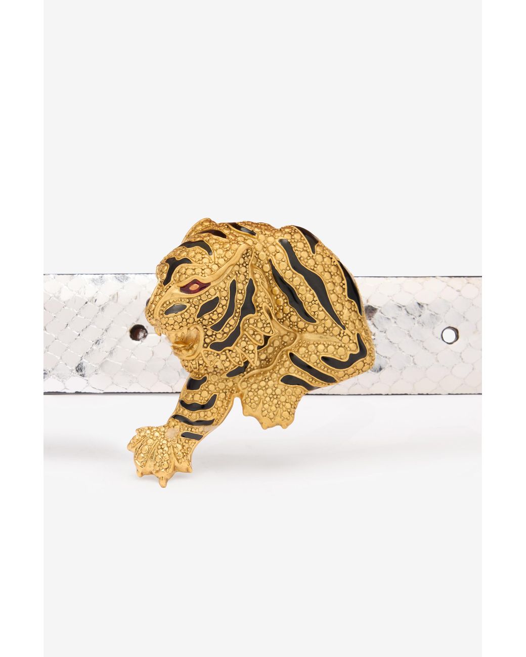 Roberto Cavalli Roar Belt | Lyst
