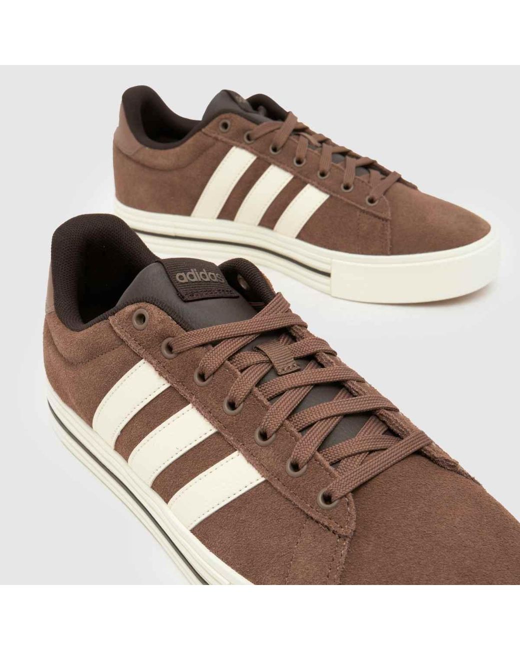 adidas Daily 4.0 Trainers in Brown for Men | Lyst UK