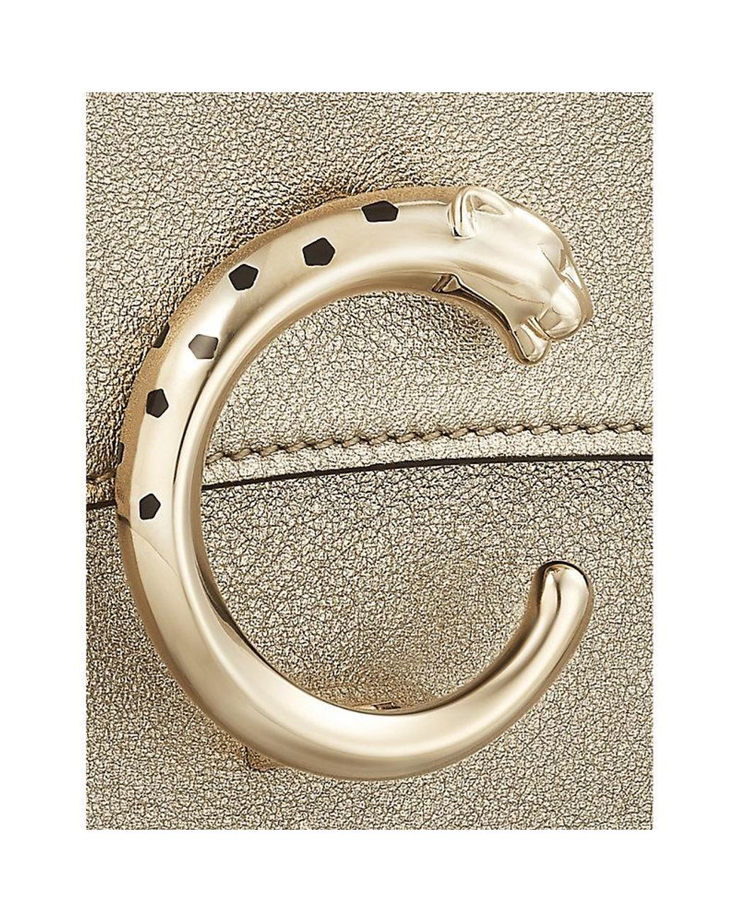 Cartier Panthère De Chain Leather Mini Cross-Body Bag in Natural | Lyst