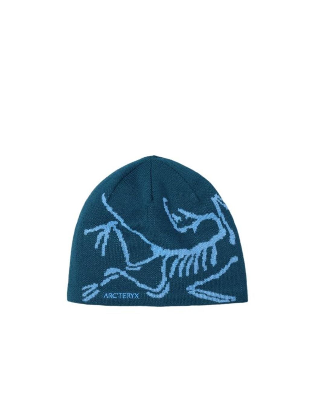 Arc'teryx Bird Head Toque in Blue for Men | Lyst