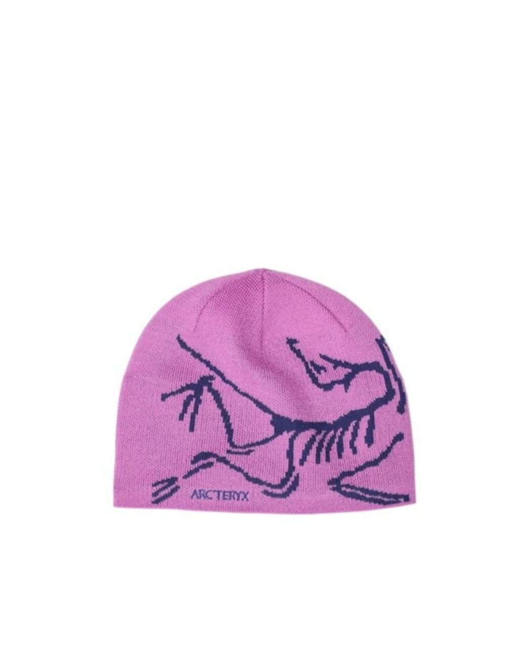 Arc'teryx Bird Head Toque in Purple | Lyst